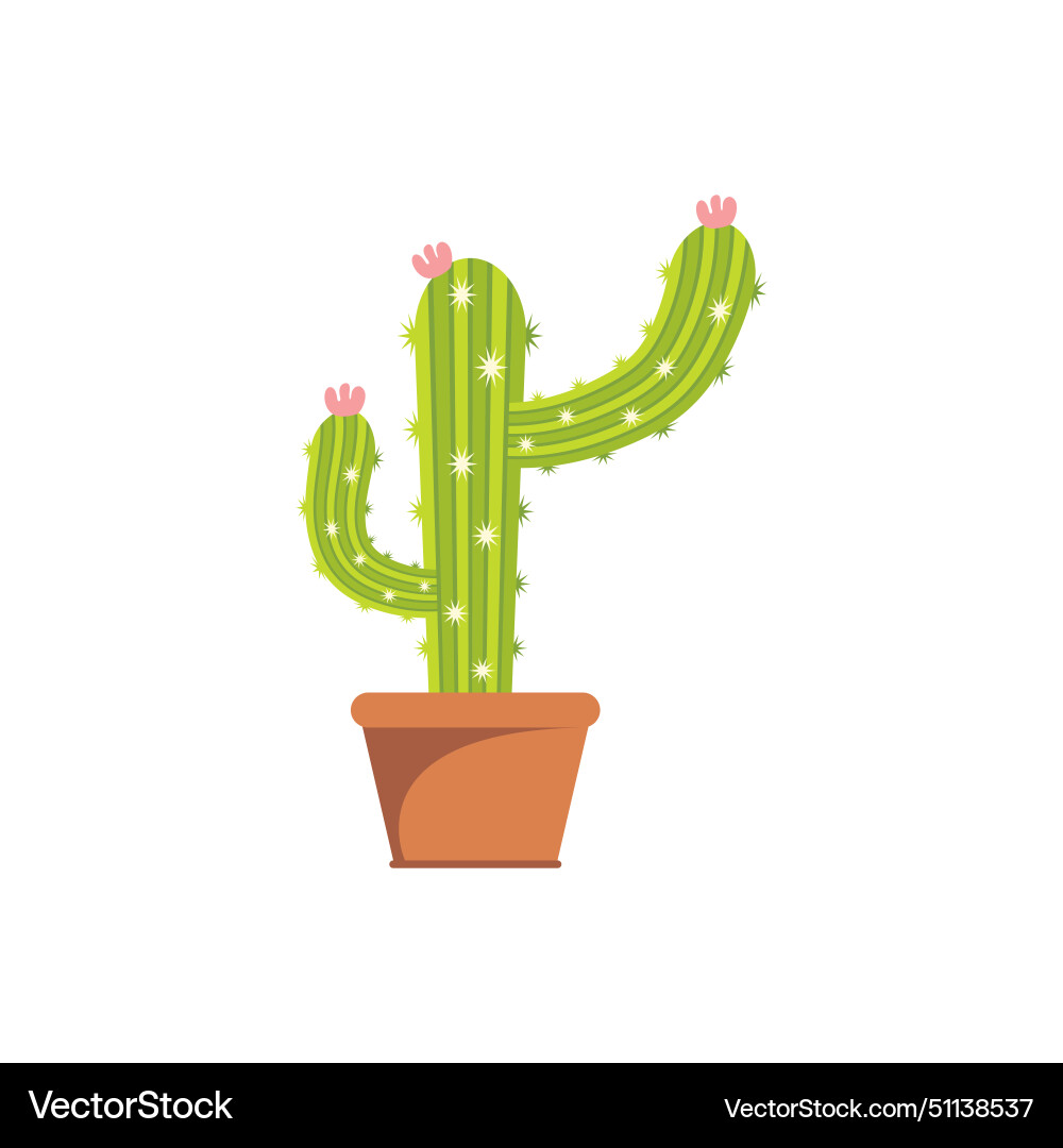 Cactus Royalty Free Vector Image - VectorStock