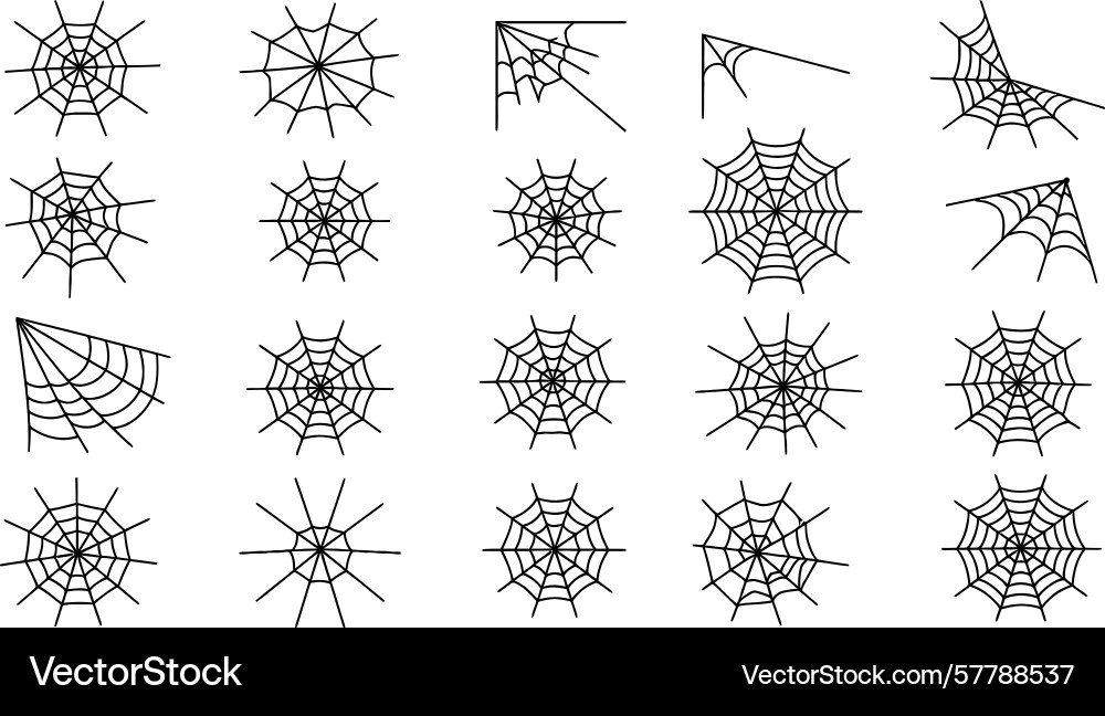 Collection of black spider web icons and corner Vector Image