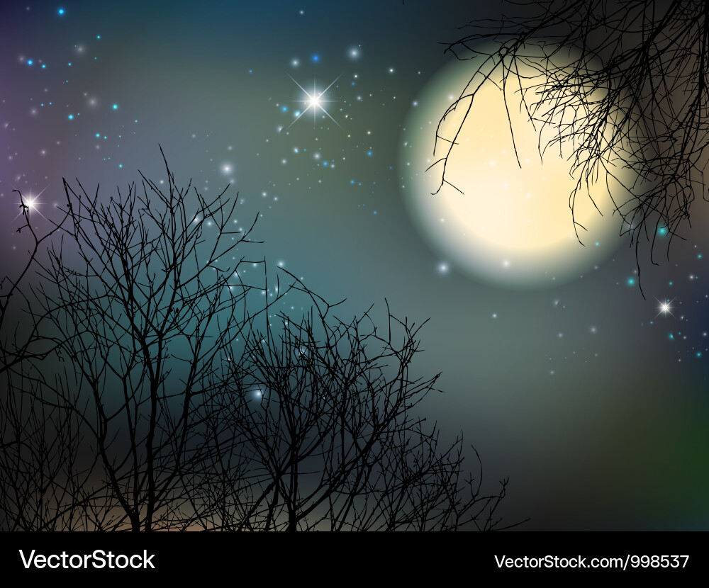 Night with big moon Royalty Free Vector Image - VectorStock