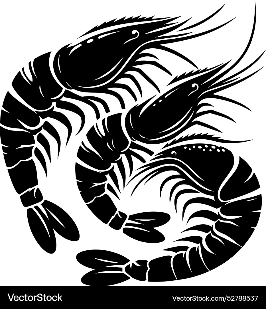 Shrimp silhouette isolated on white background Vector Image