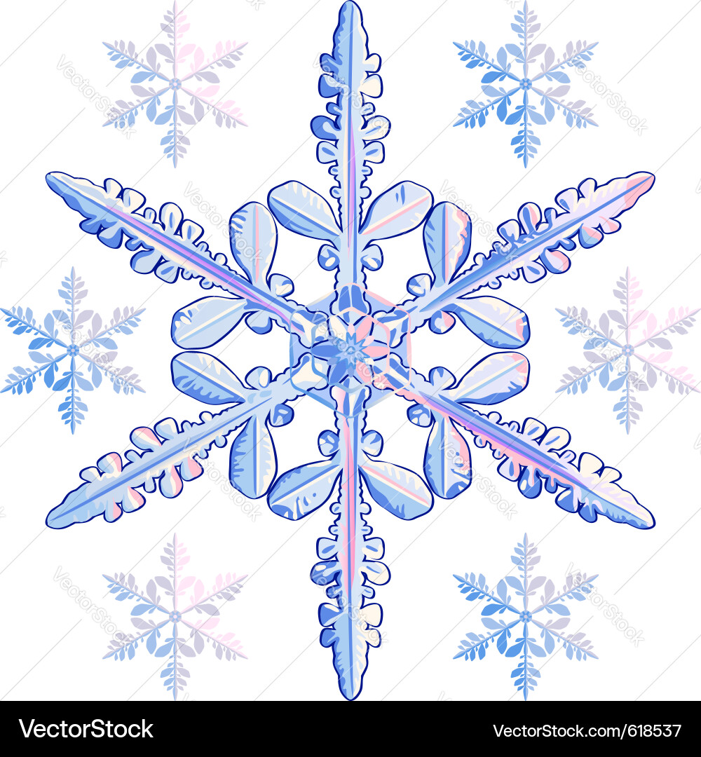 Snowflake Royalty Free Vector Image - VectorStock