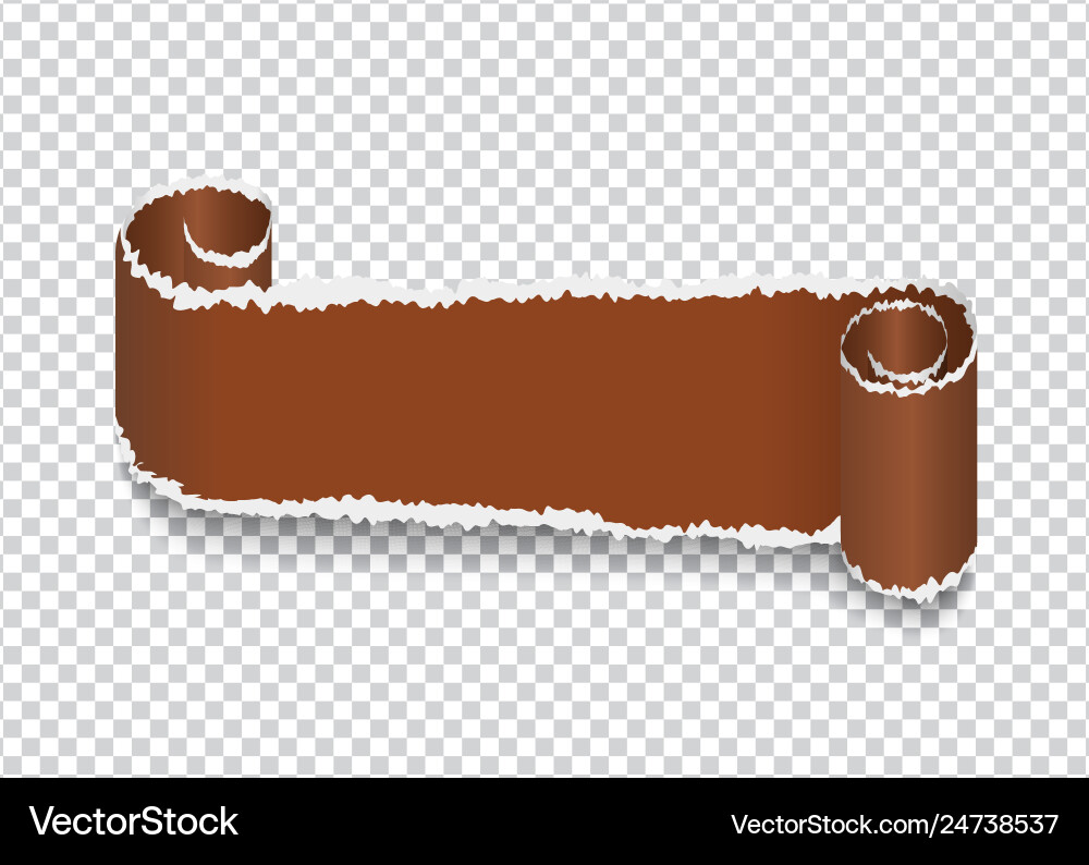 Torn paper Royalty Free Vector Image - VectorStock