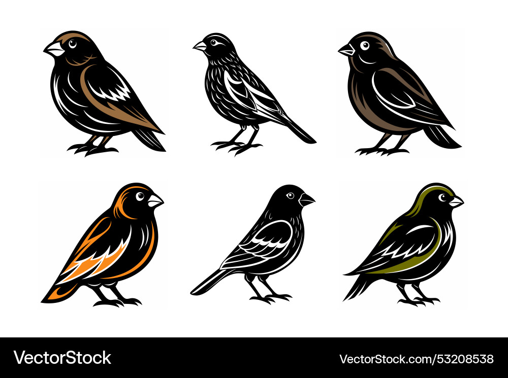 6 difference bird silhouette Royalty Free Vector Image