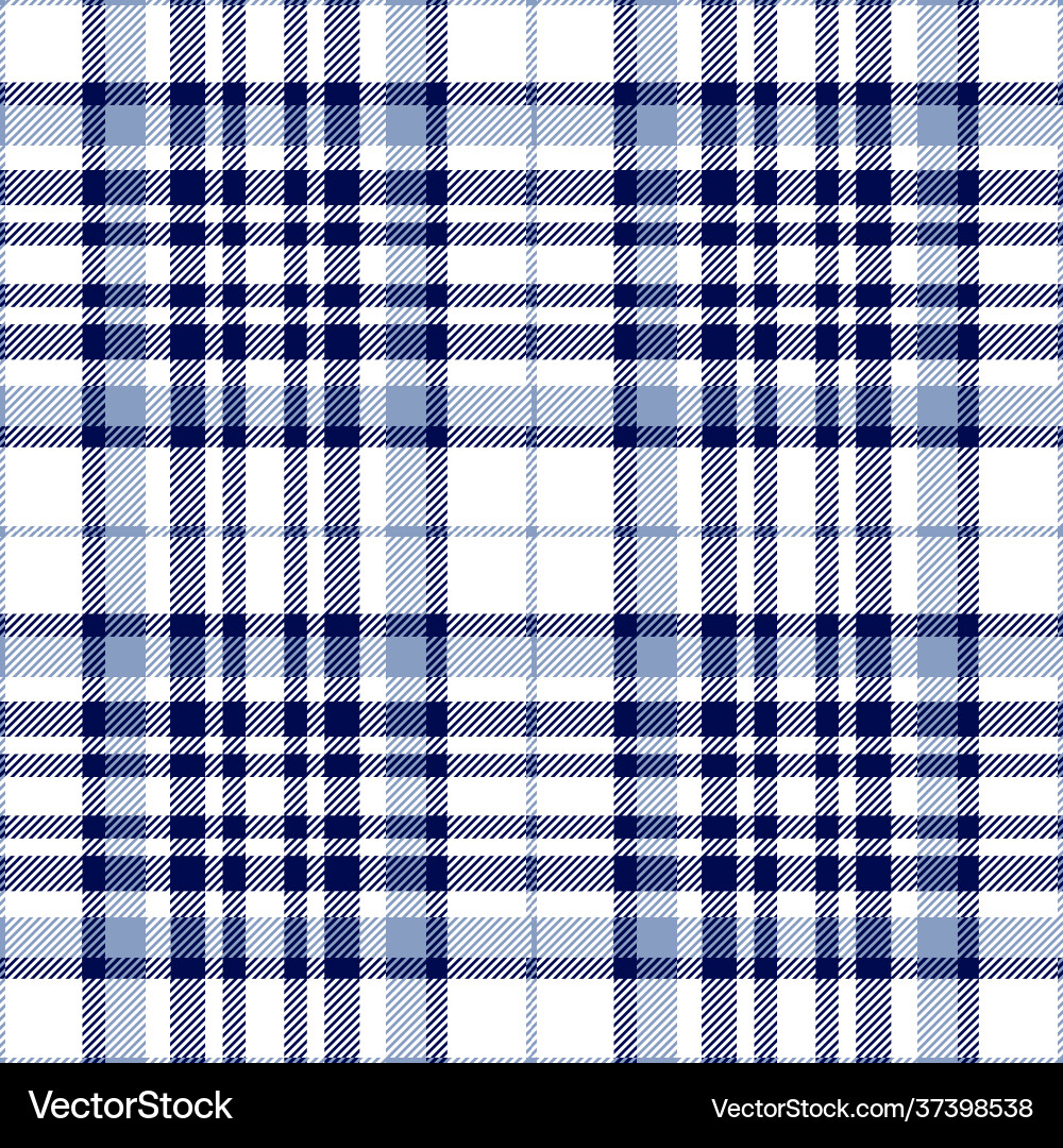Blue white tartan plaid pattern Royalty Free Vector Image