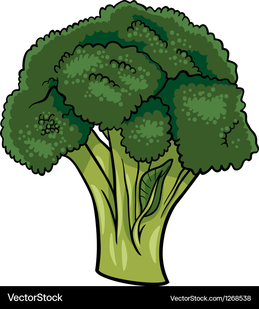 Broccoli vegetable cartoon Royalty Free Vector Image