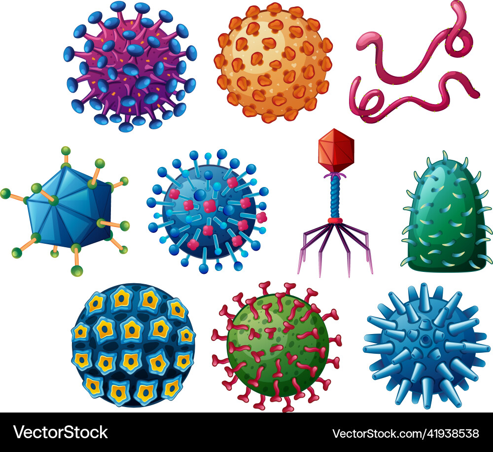 Different shapes of viruses Royalty Free Vector Image