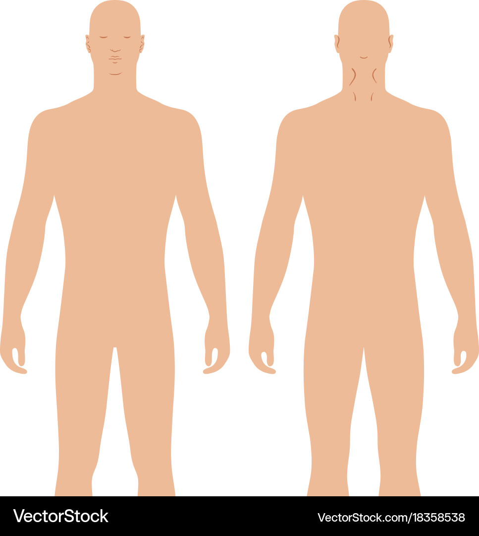 Fashion man figure Royalty Free Vector Image - VectorStock