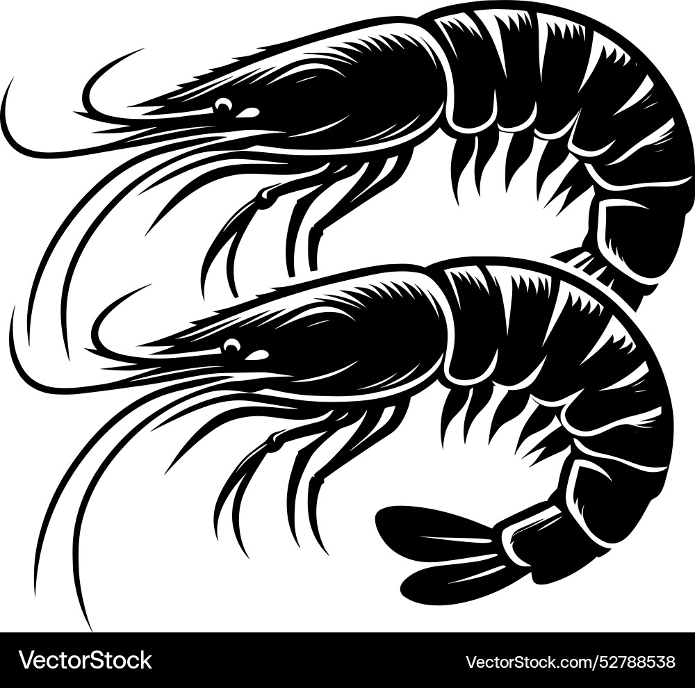 Shrimp silhouette isolated on white background Vector Image