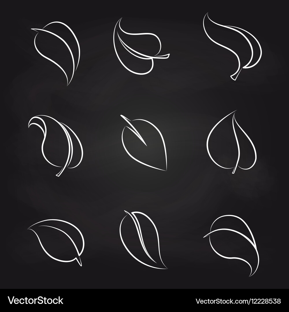 White Leaf Icons on Blackboard Royalty Free Vector Image