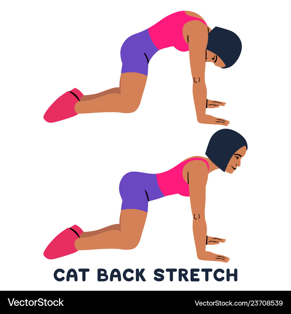 Camel Back Stretch - Yoga Pose Royalty Free Vector Image