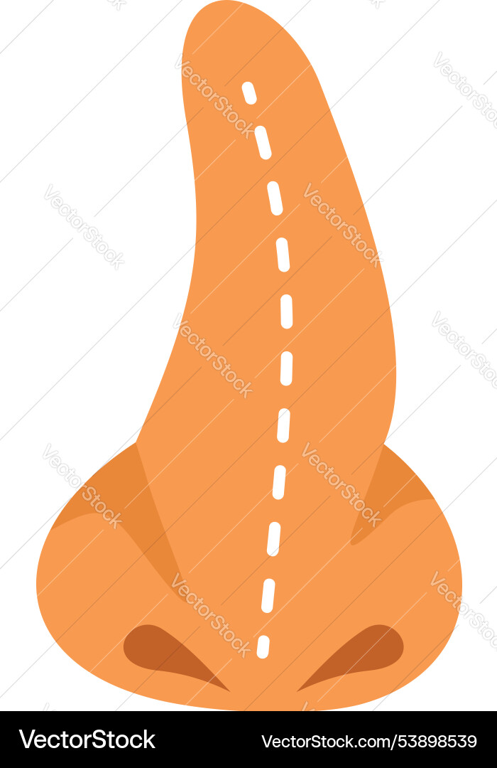 Nose surgery correction rhinoplasty showing before