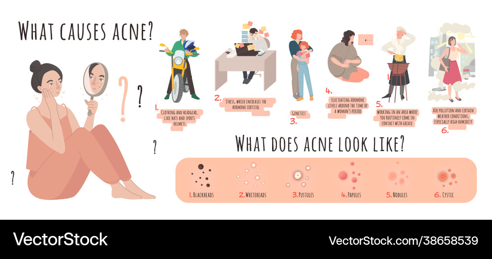 What causes acne landscape poster with useful Vector Image