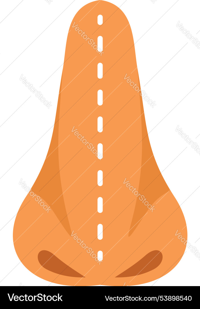 Rhinoplasty surgery with dotted line showing Vector Image