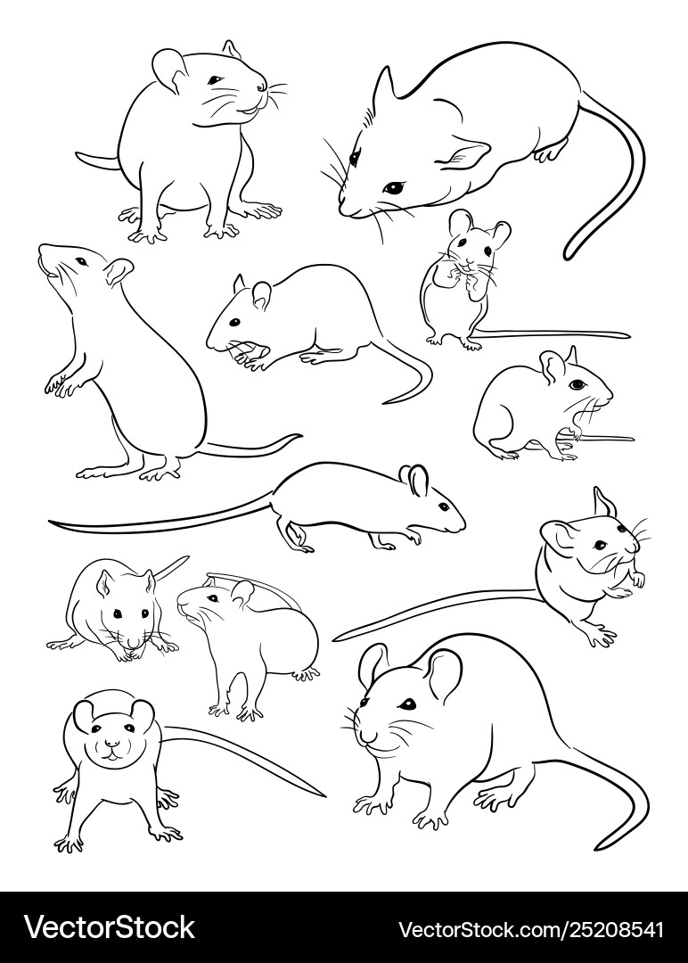 Mouse Line Art Vector Images (over 13,000)