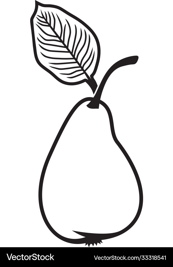 Pear Royalty Free Vector Image - VectorStock