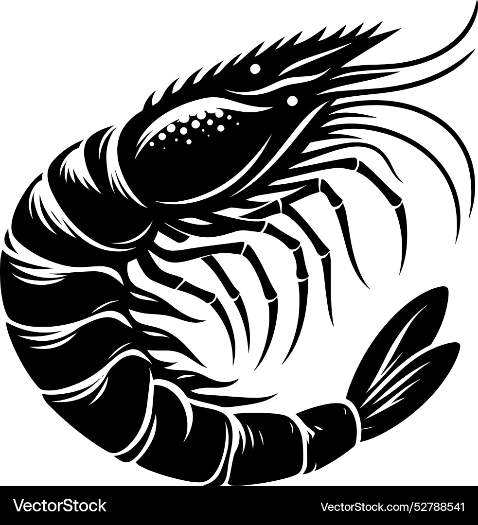 Shrimp silhouette isolated on white background Vector Image
