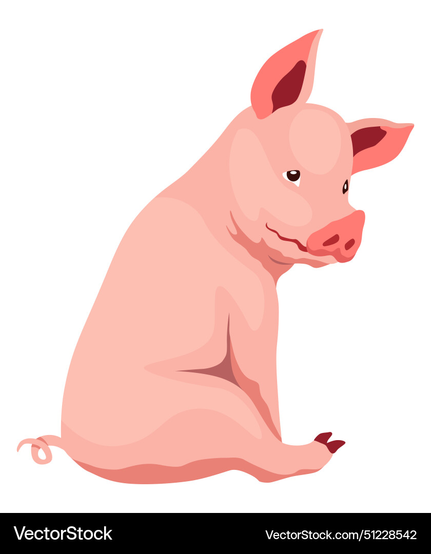 Pig set flat cartoon isolated on white background Vector Image