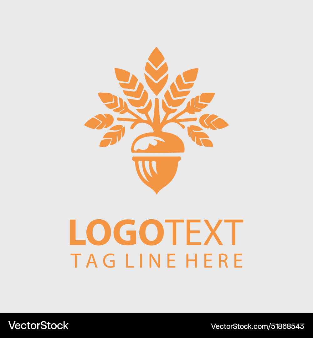 Acorn logo Royalty Free Vector Image - VectorStock