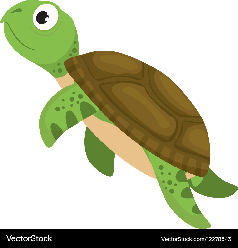 Marine turtle cartoon Royalty Free Vector Image