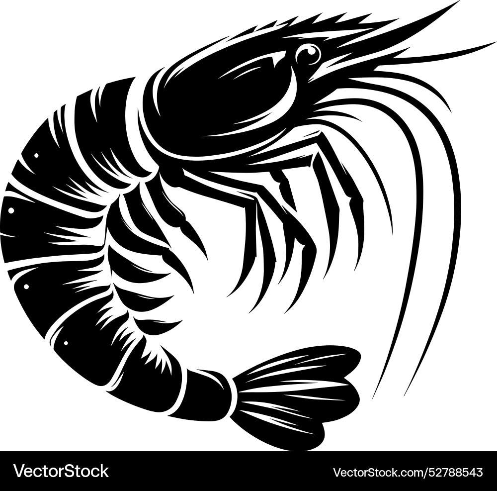 Shrimp silhouette isolated on white background Vector Image