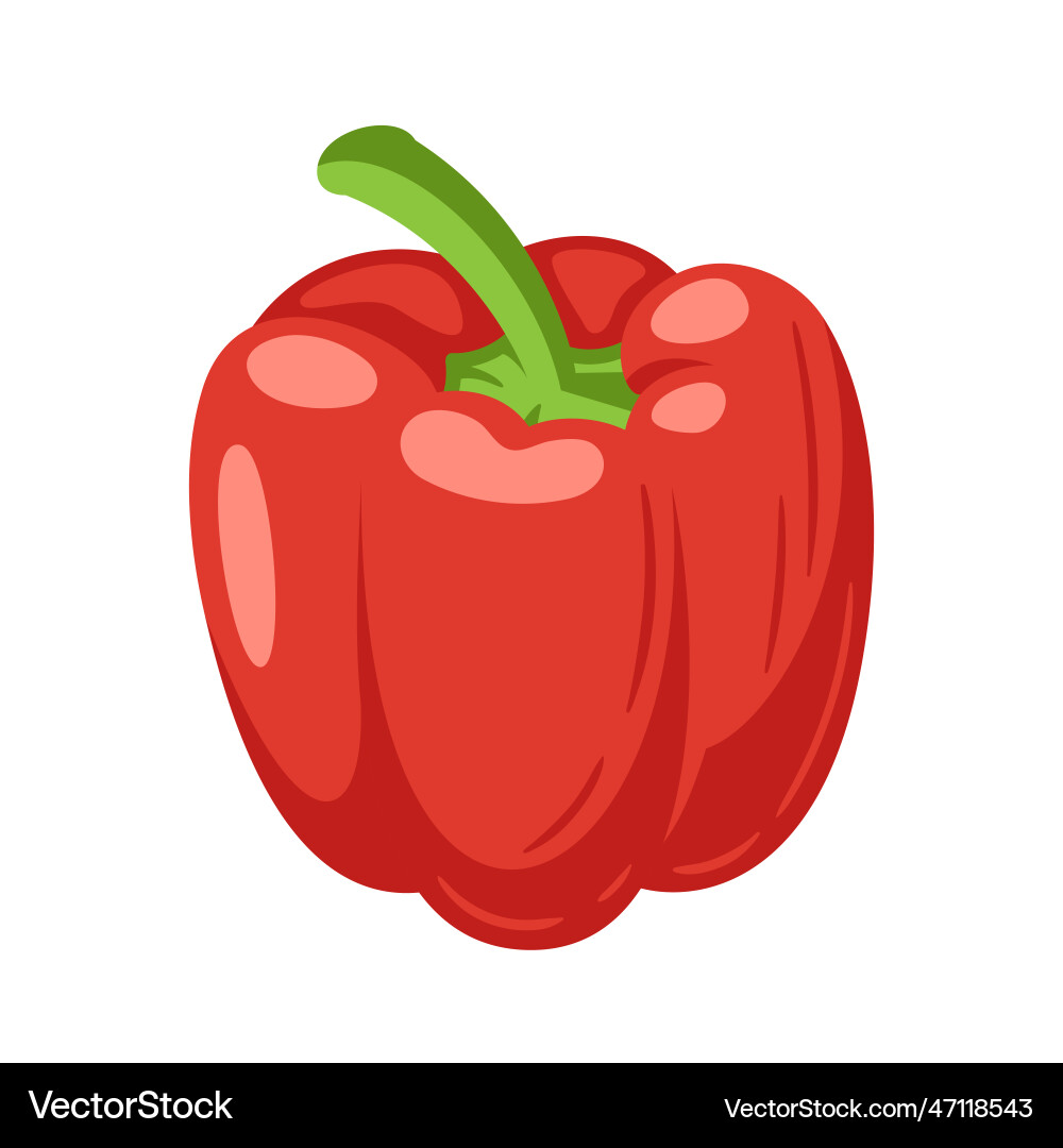 Sweet red bell pepper Royalty Free Vector Image