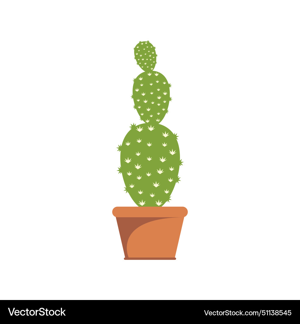 Cactus Royalty Free Vector Image - VectorStock