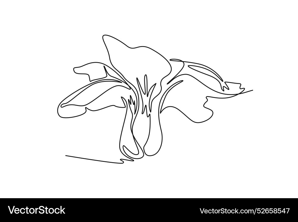 Single continuous line drawing of whole healthy Vector Image