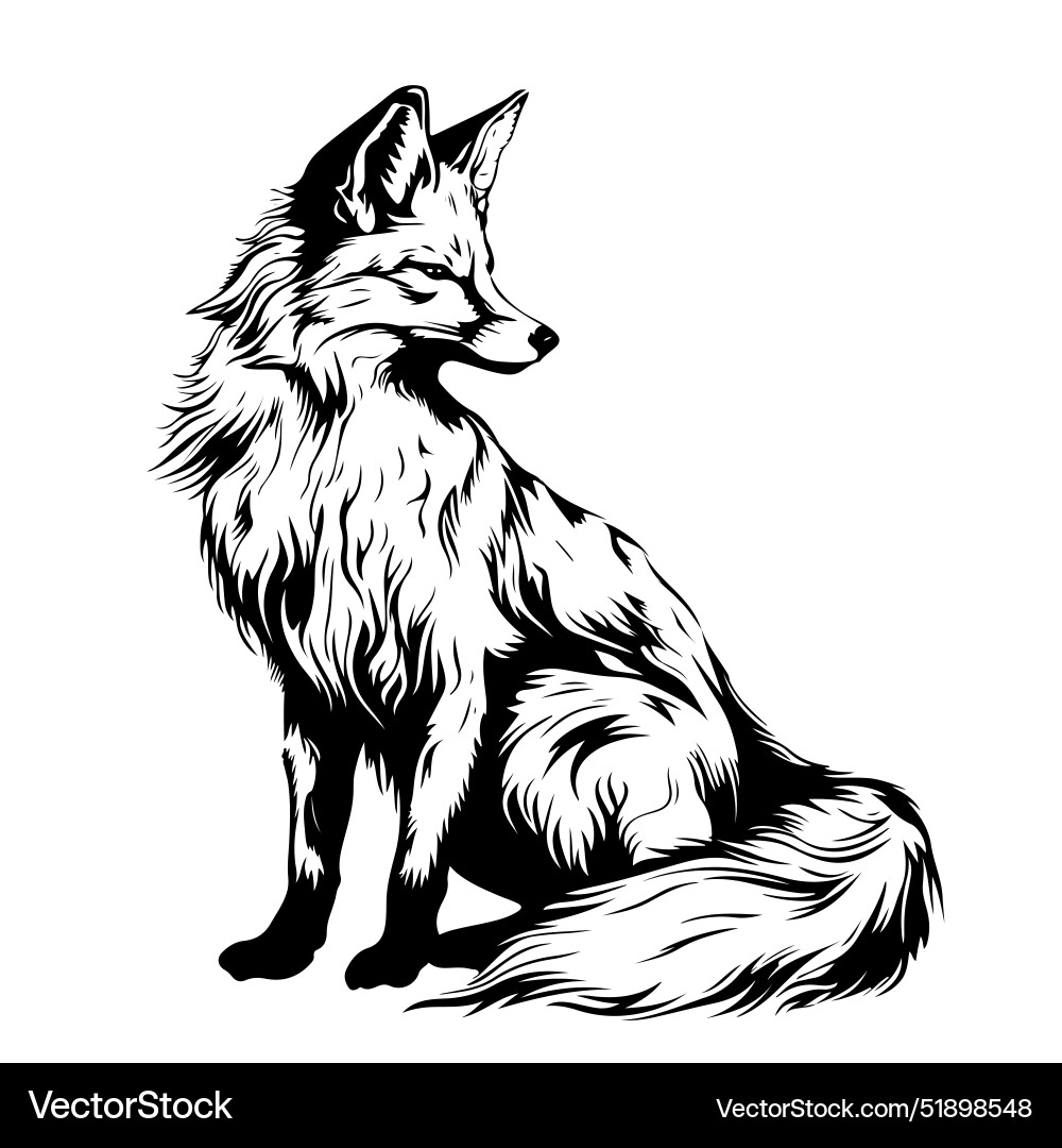 Hand-Doodle Fox Sketch Royalty Free Vector Image