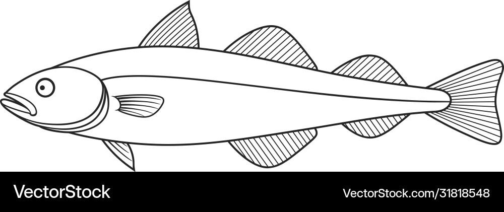 Pollock Royalty Free Vector Image - VectorStock