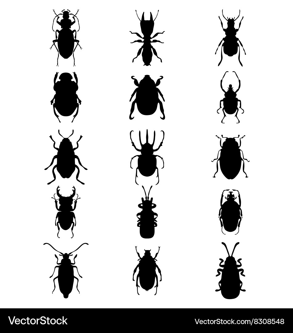 Silhouettes of bugs Royalty Free Vector Image - VectorStock