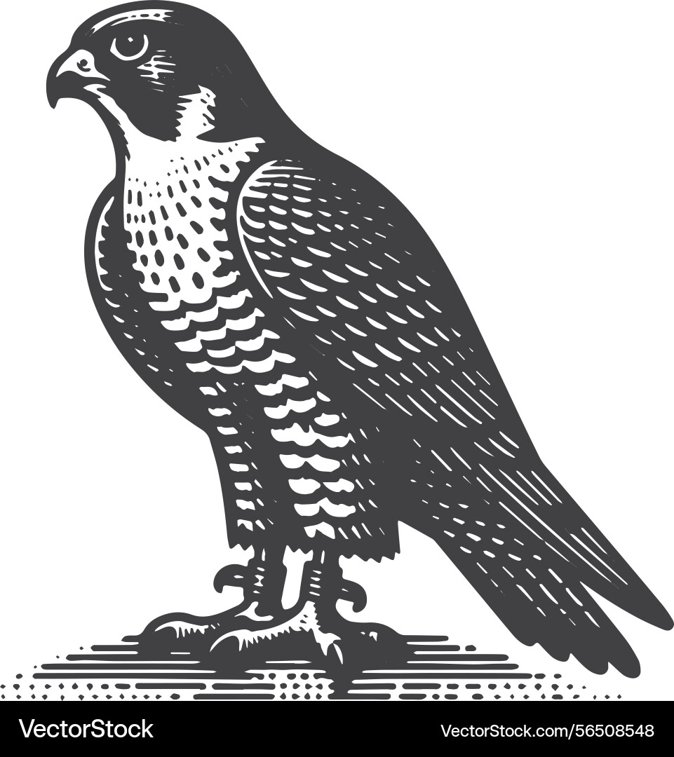 Simple peregrine falcon side view icon design Vector Image