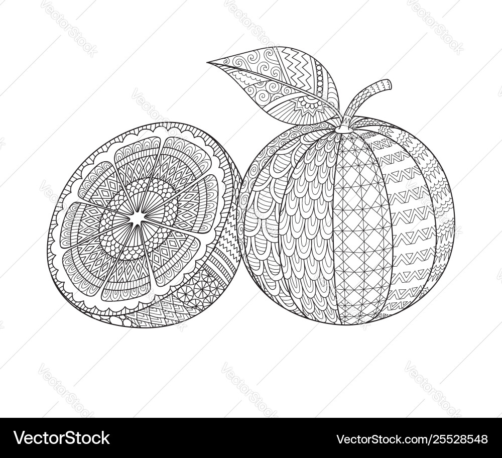 Sliced Orange Line Art Royalty Free Vector Image