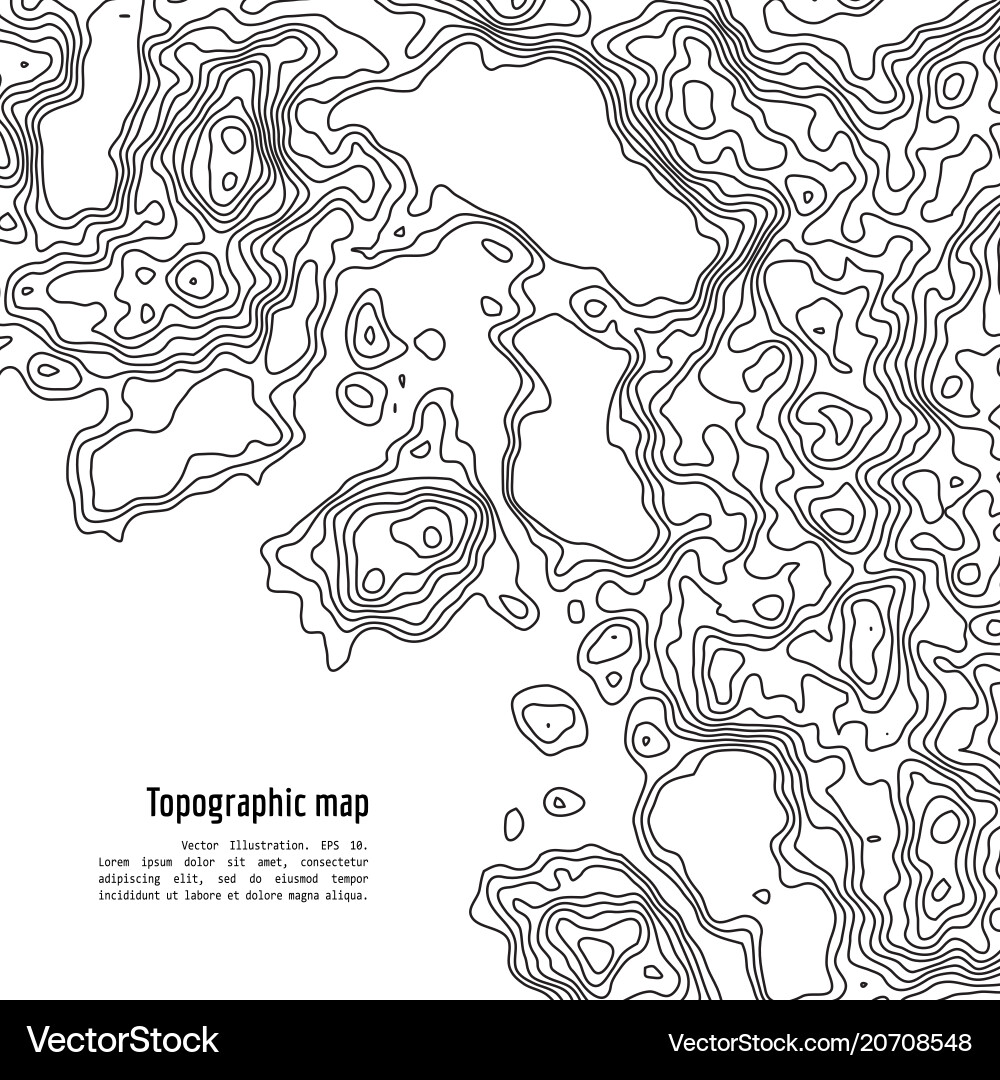 Topography map Royalty Free Vector Image - VectorStock