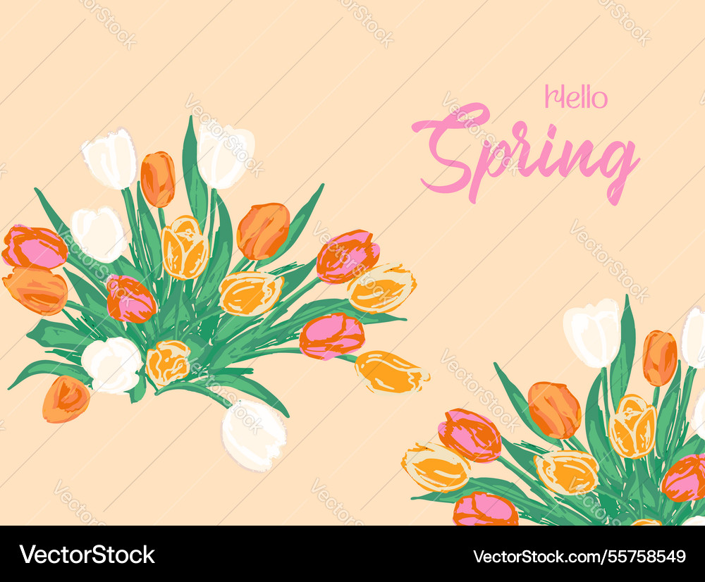 Hello spring with tulips Royalty Free Vector Image