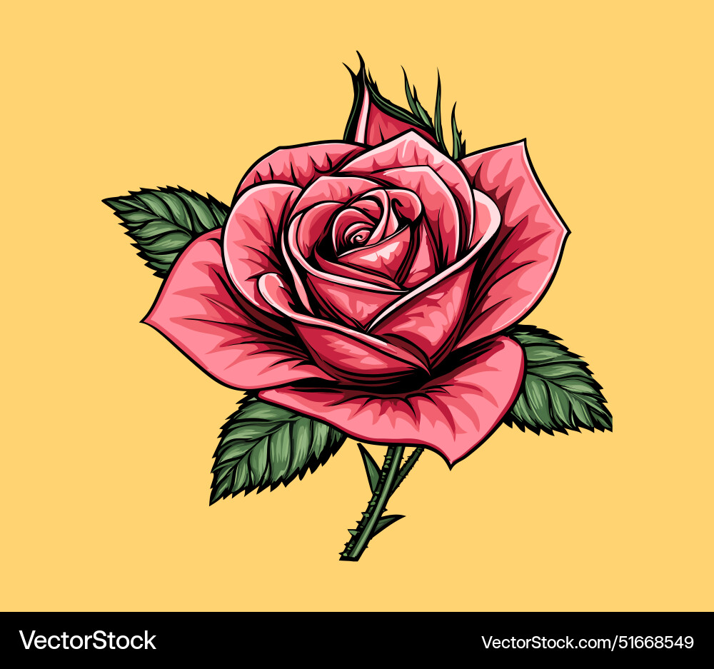 Rose colorful Royalty Free Vector Image - VectorStock