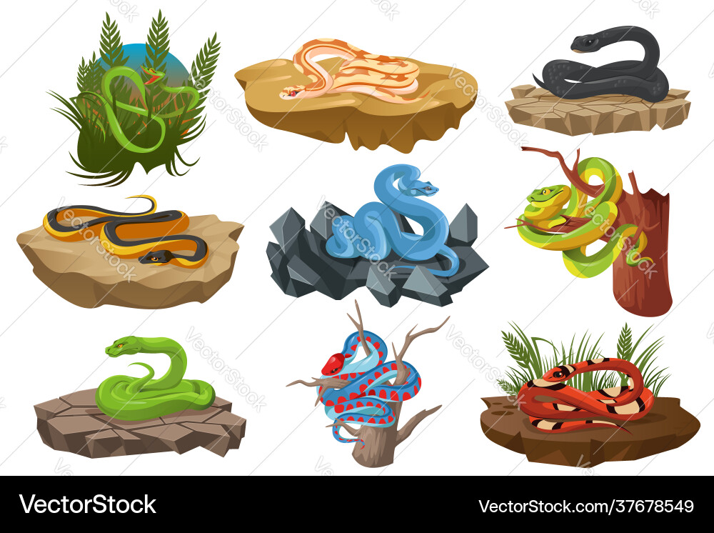 Snakes serpents python black mamba Royalty Free Vector Image