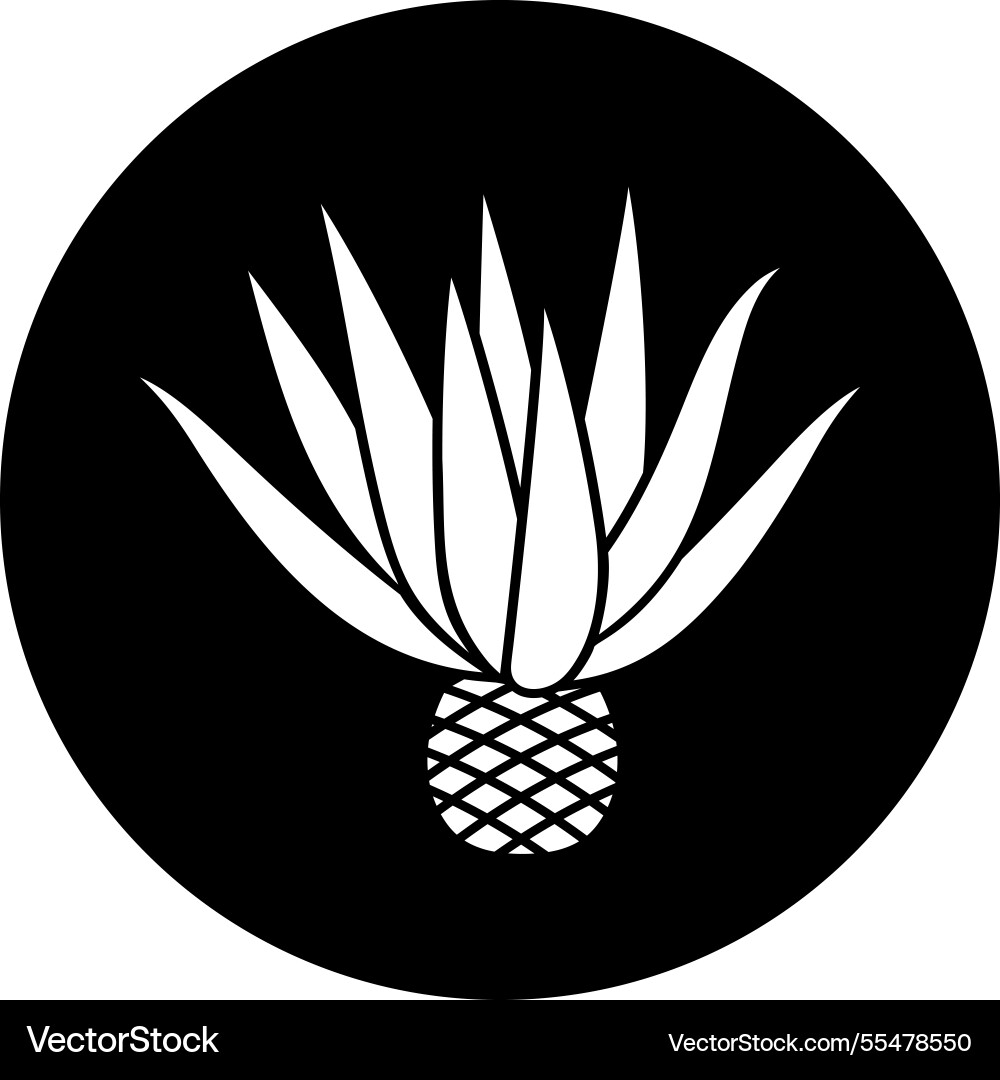 Agave Royalty Free Vector Image - VectorStock