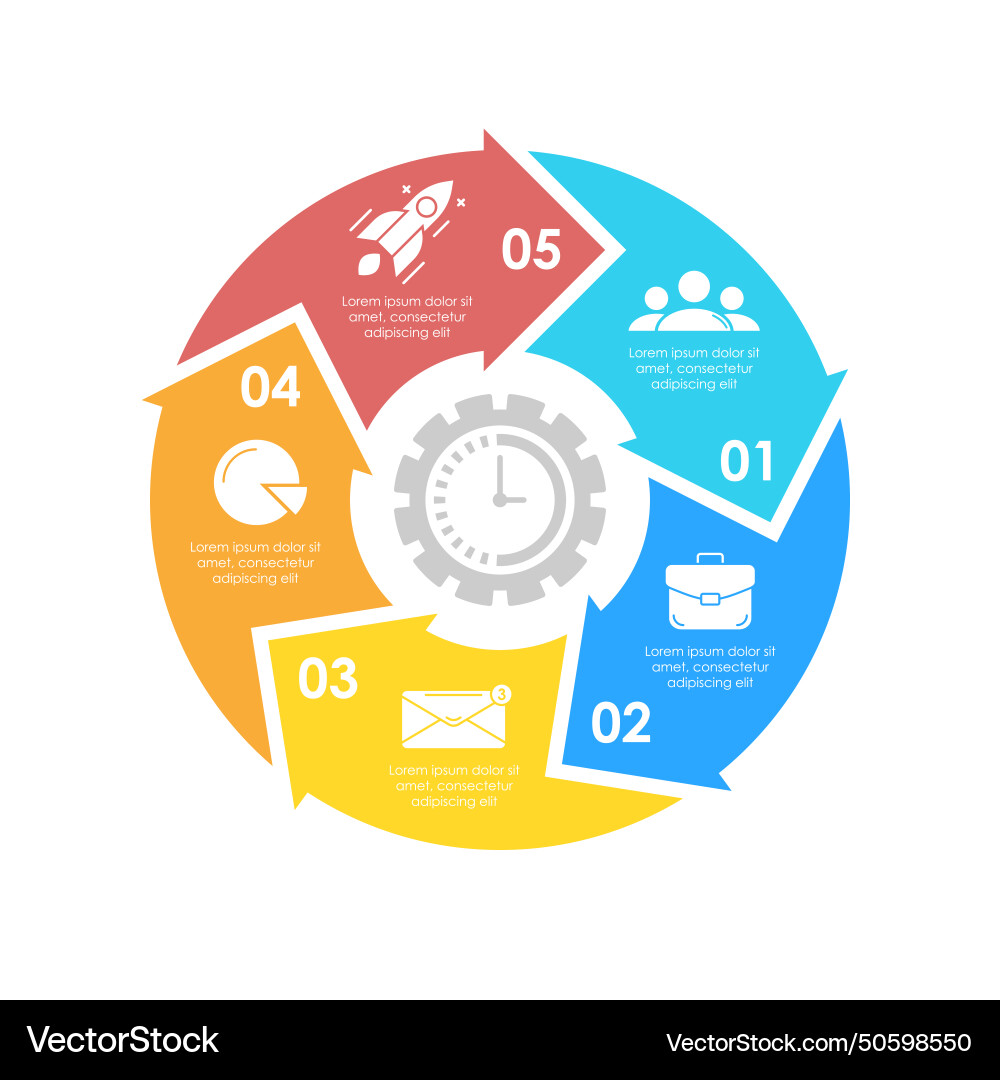 Circle business infographic template with 5 steps Vector Image