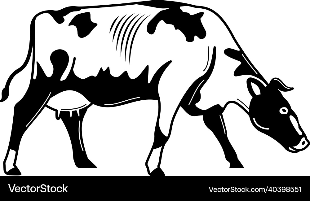 Grazing cow engraving composition Royalty Free Vector Image