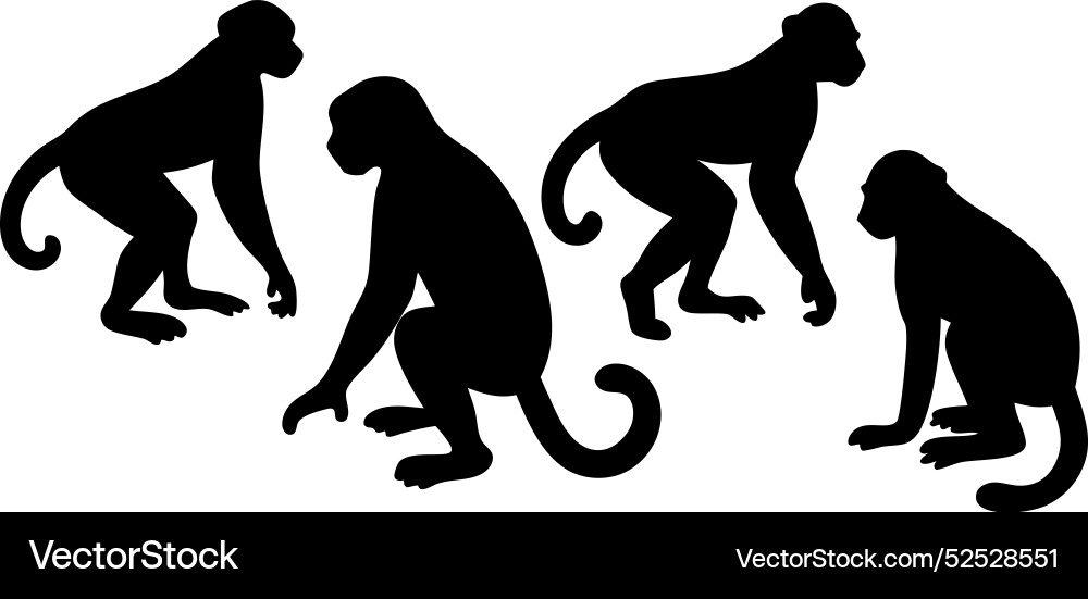 Monkey silhouettes on a white background 5 Vector Image