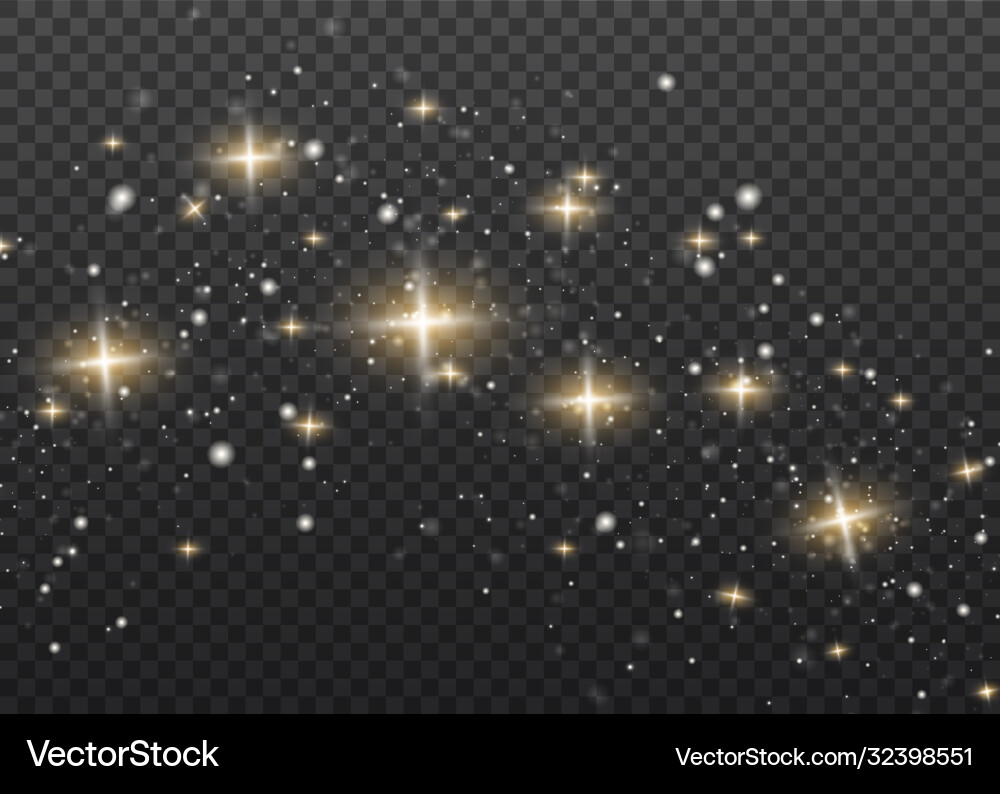 Sparkling dust particles Royalty Free Vector Image
