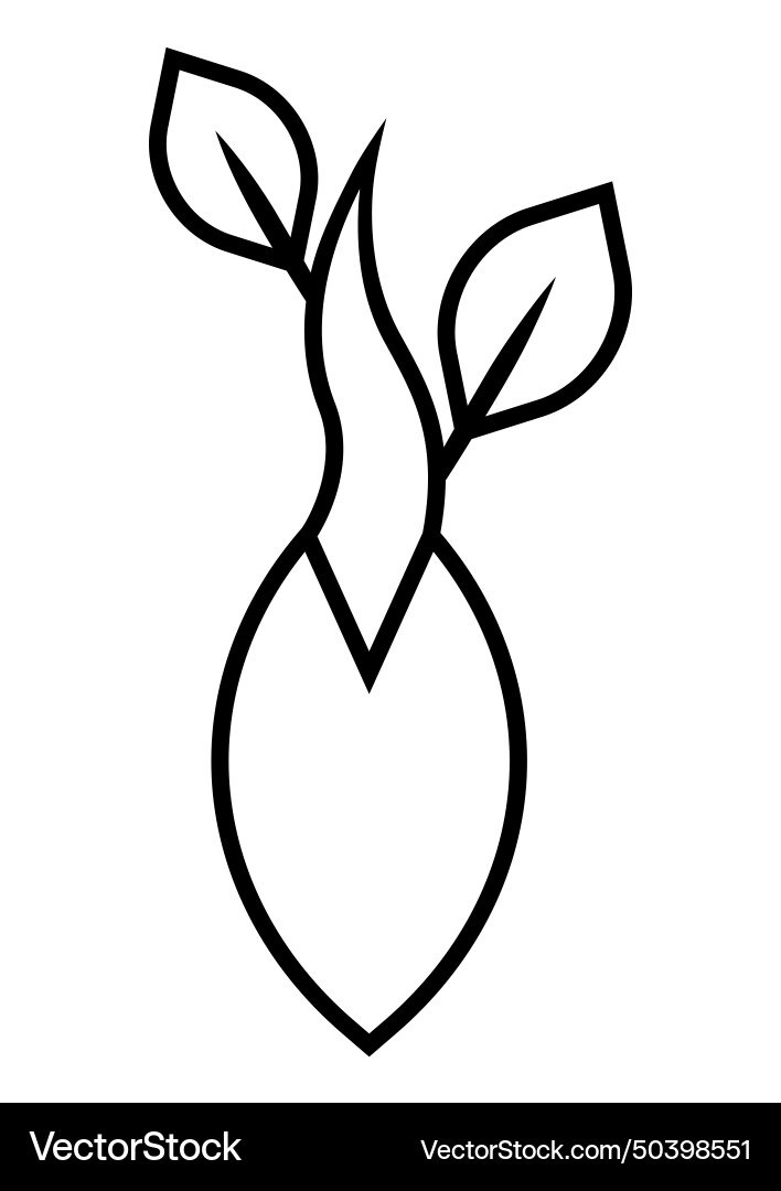 Sprouted seed for sowing agricultural Royalty Free Vector