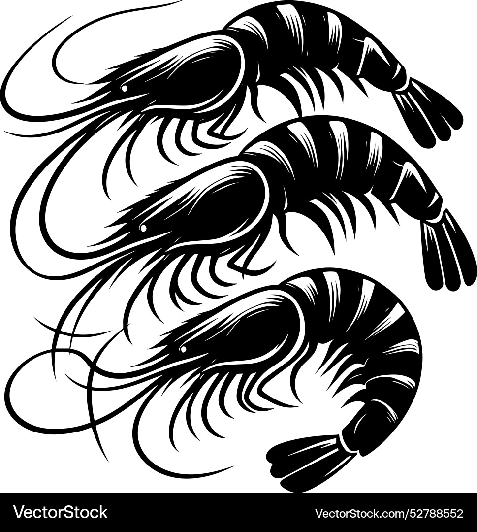 Shrimp silhouette isolated on white background Vector Image