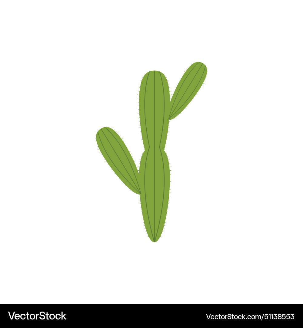 Cactus Royalty Free Vector Image - VectorStock