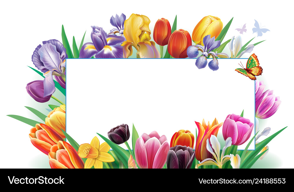 Card from arrangement with multicolor spring Vector Image