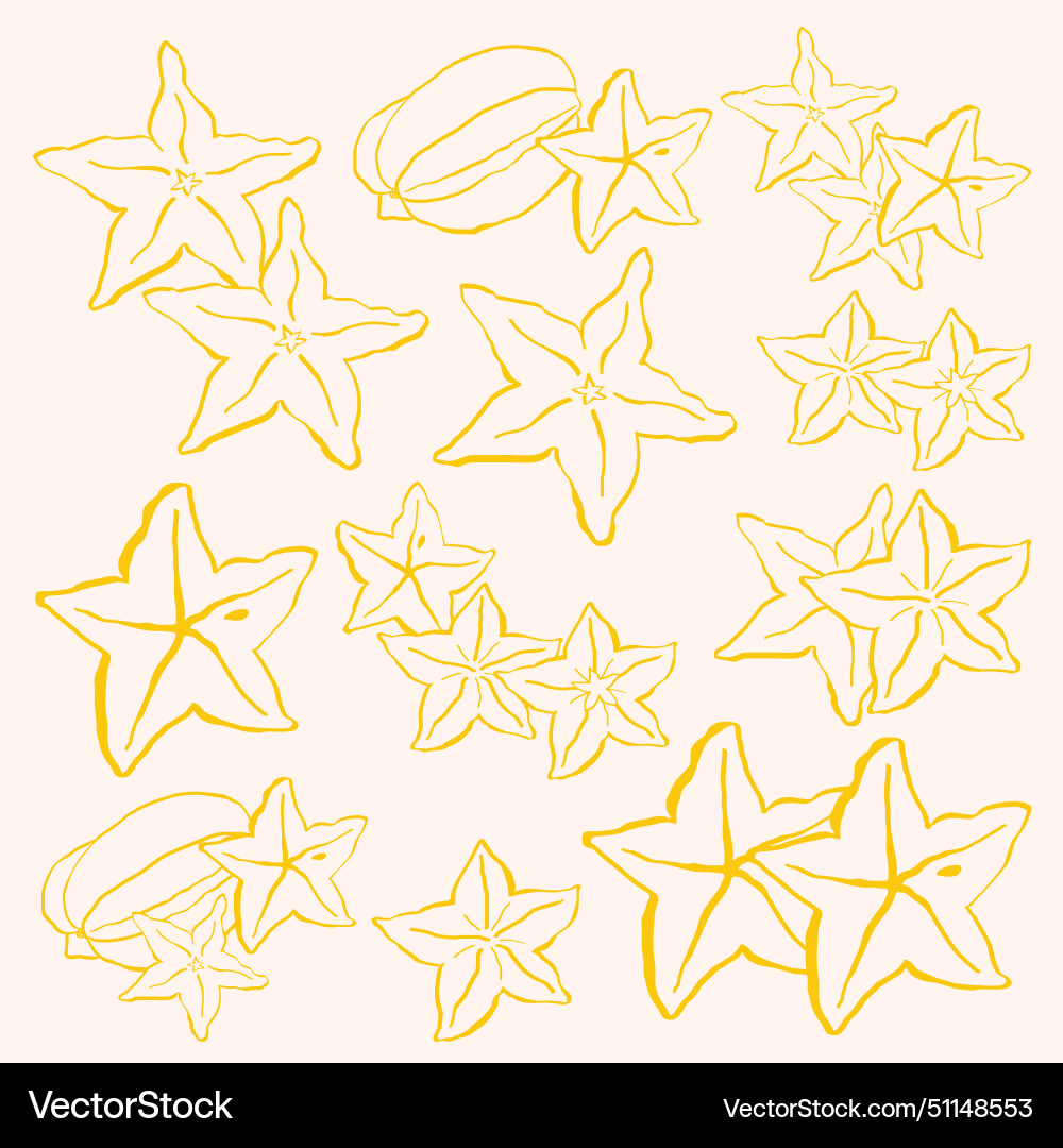 Starfruit outline style Royalty Free Vector Image