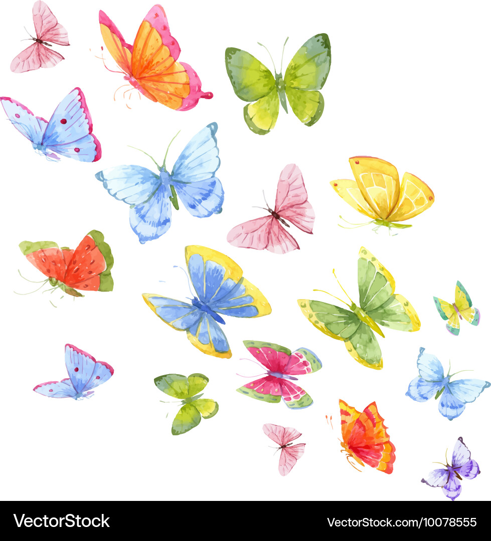 Real Butterfly Vector Images (over 270)