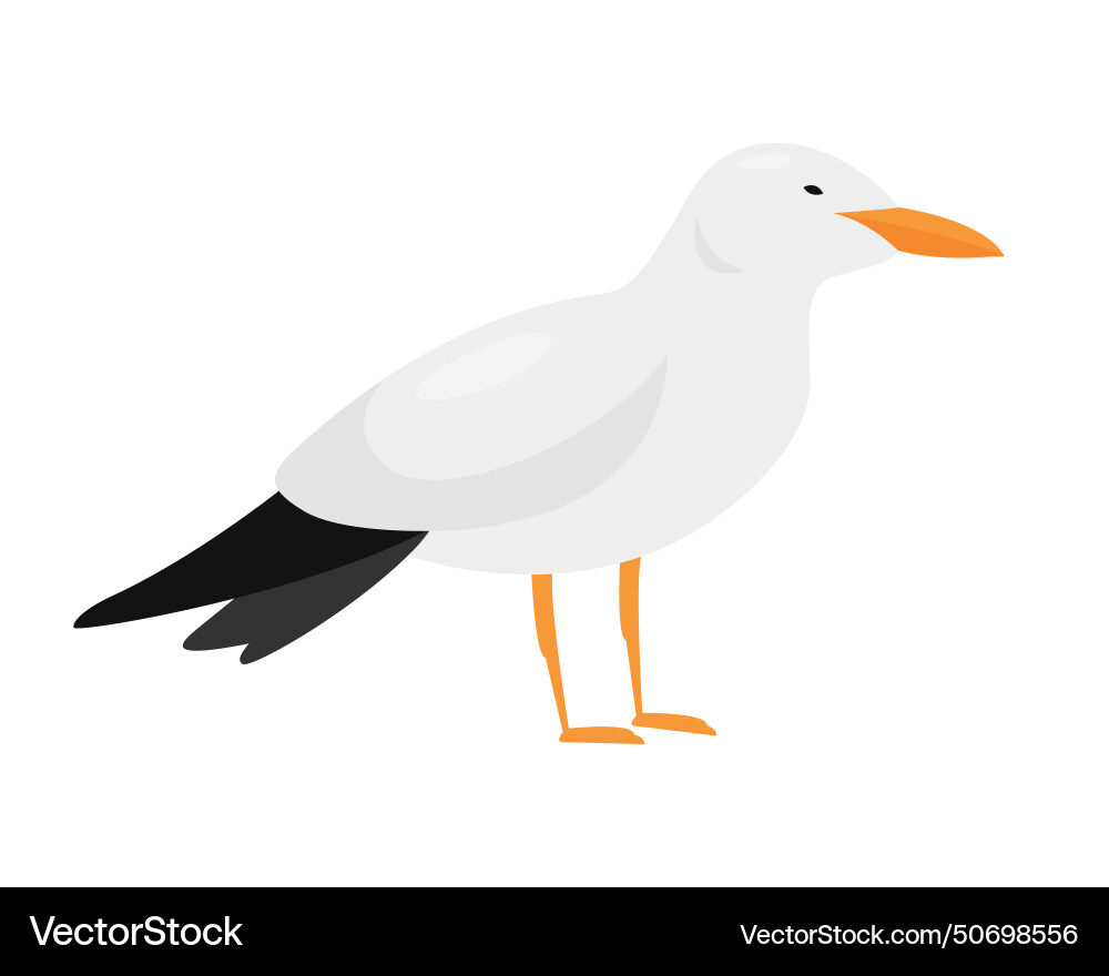 Arctic tern bird Royalty Free Vector Image - VectorStock