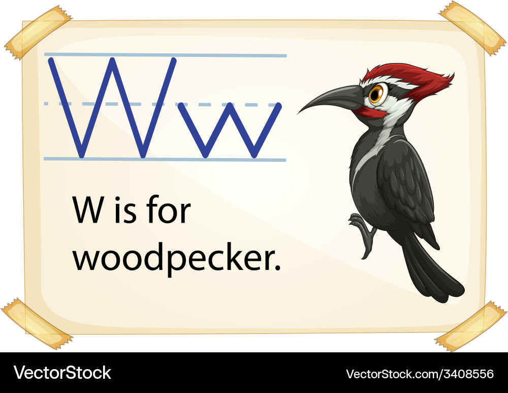 Letter w Royalty Free Vector Image - VectorStock