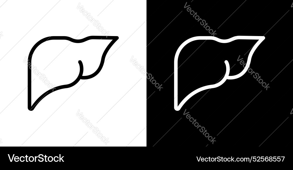 Liver icon set on white background Royalty Free Vector Image